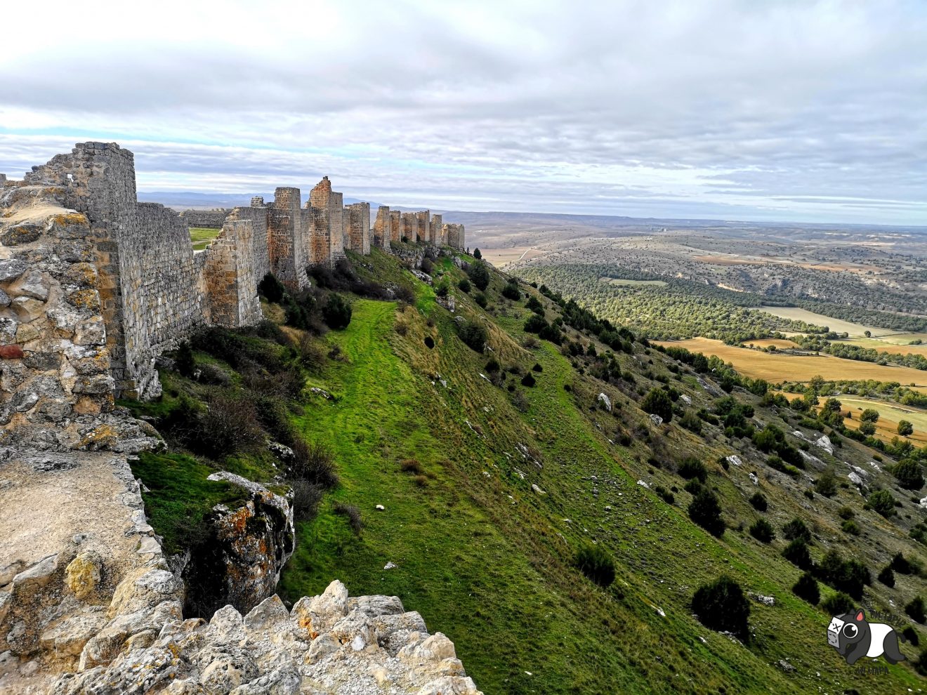 Fortaleza califal de Gormaz o castillo de Gormaz, ¡alucina pepinillos ...